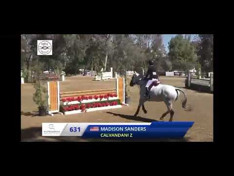 1 - Maclay Medal - Temecula Horse Show 2021 - YouTube