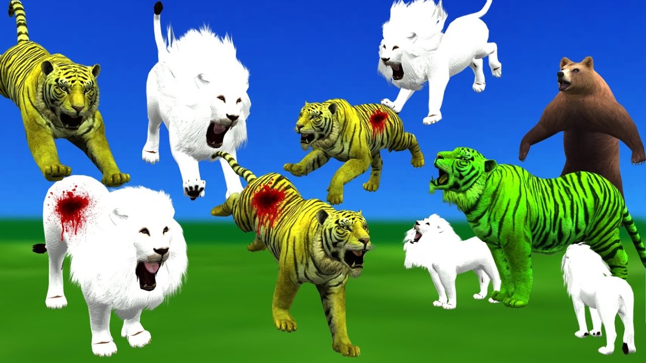 सफेद शेर ने लिया बाघ के घर में पुनर्जन्म और बाघिन मां | Baagh Ka Beta ...