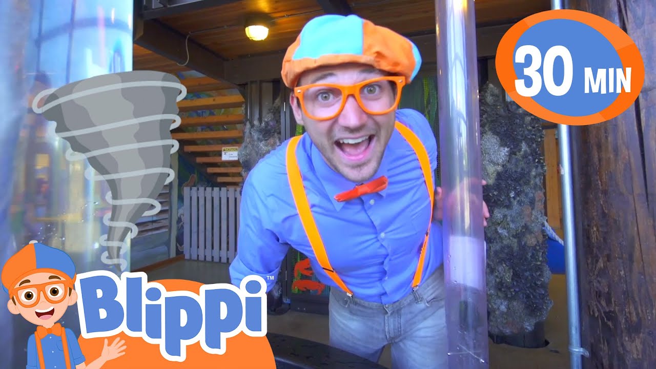 [ LOOPED SONG ] Weather Song - Learn About The Seasons | Blippi | Kids ...