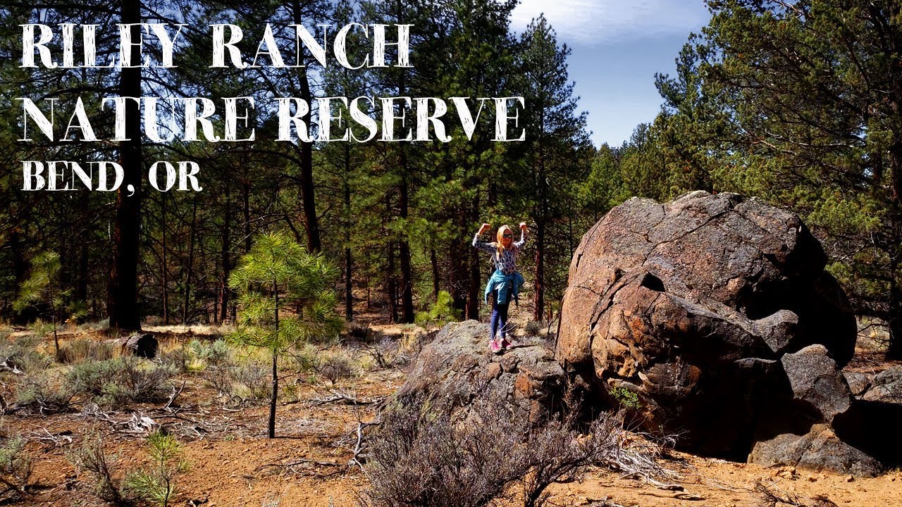 Riley Ranch Nature Reserve Hike - Bend, Oregon - Central Oregon Hiking ...