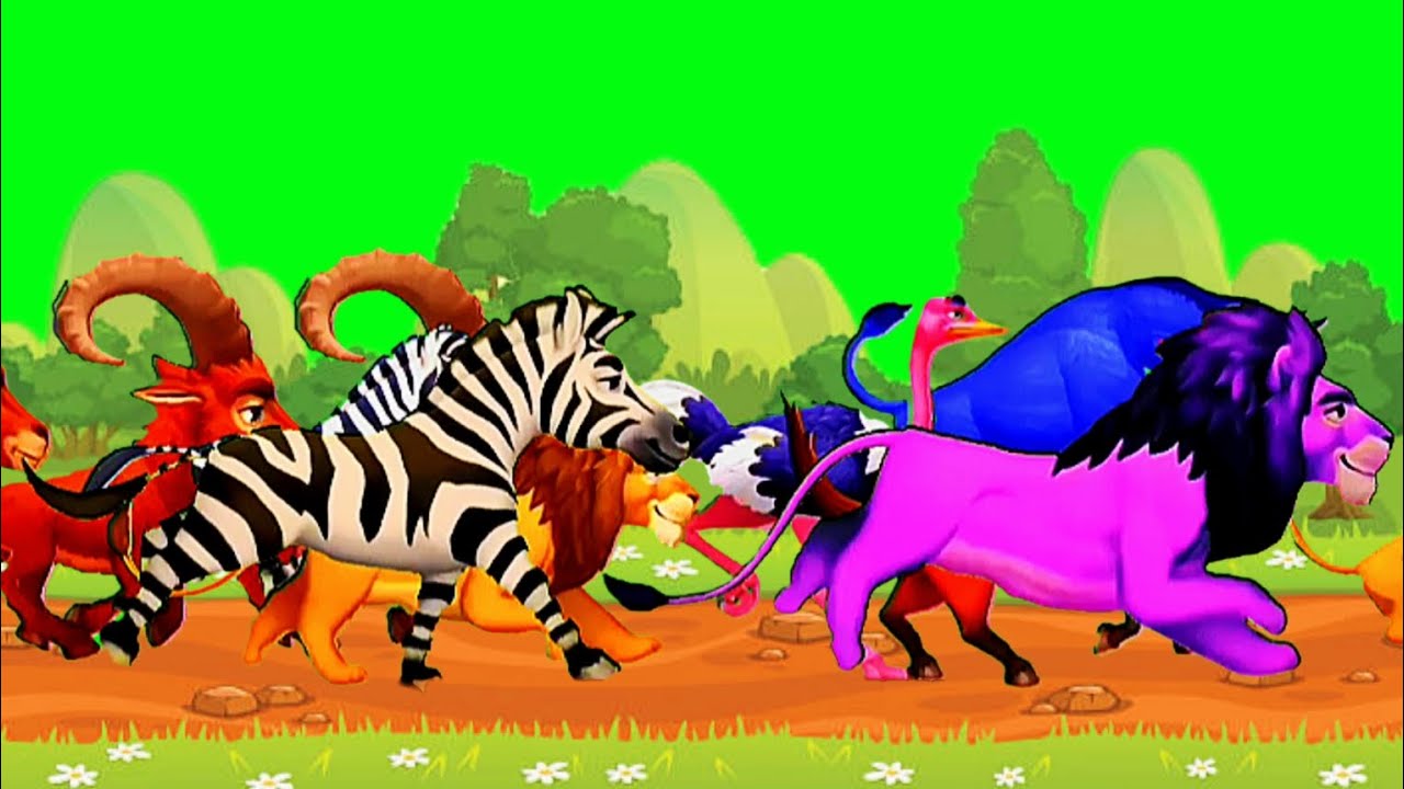Cartoon animals stampede race competition‼️ - YouTube