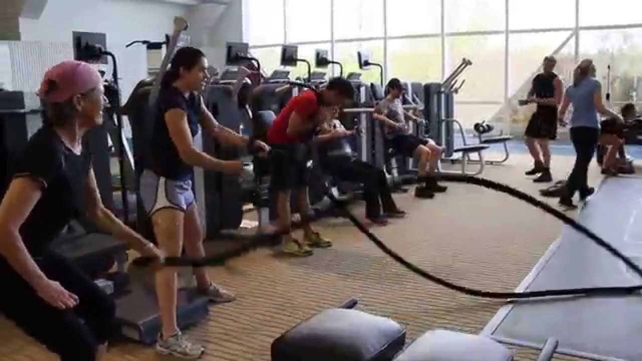 Omnia Training Session - YouTube