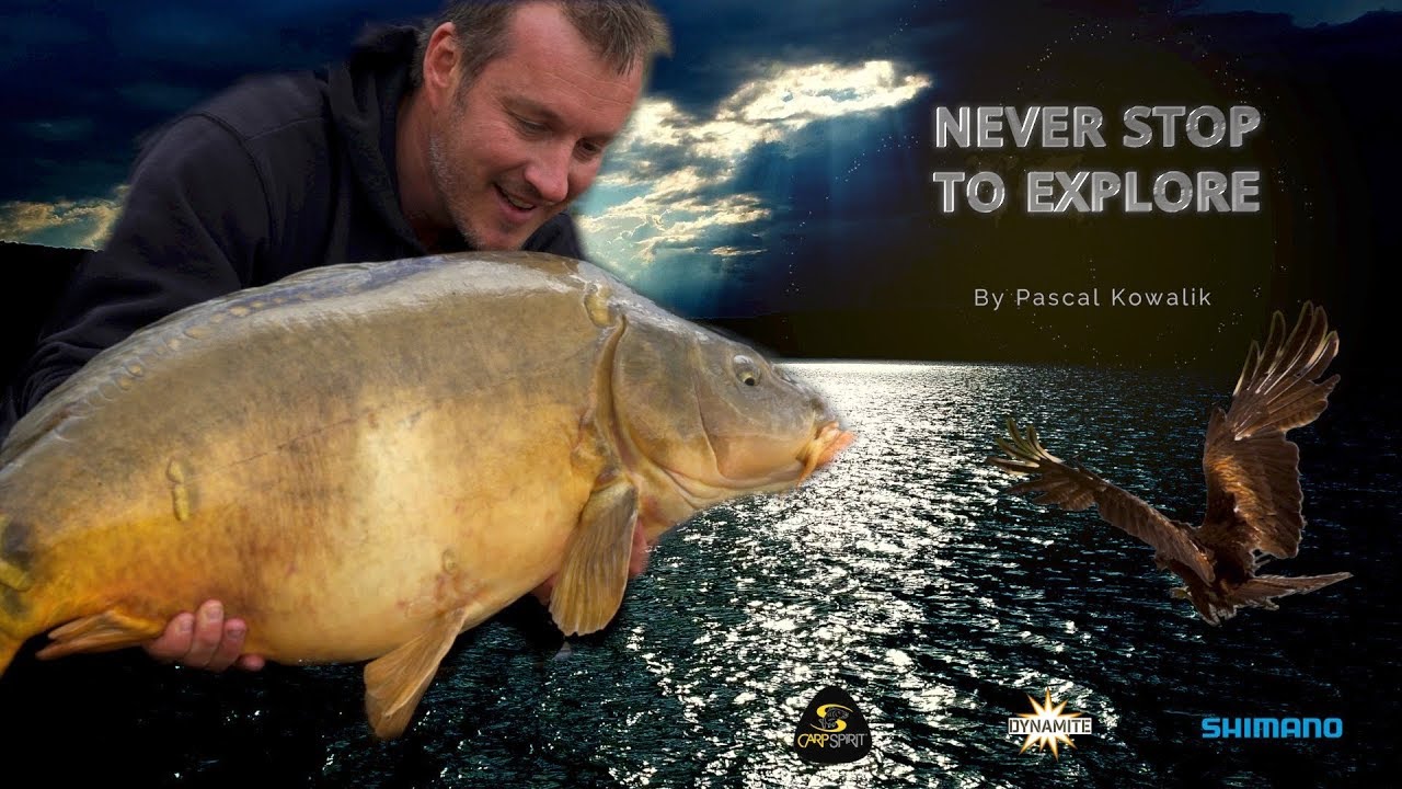 NEVER STOP TO EXPLORE - YouTube