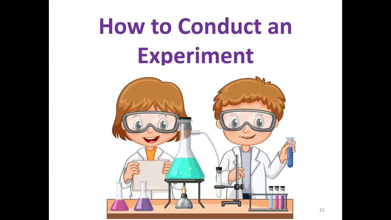 Science Fair 101 - YouTube