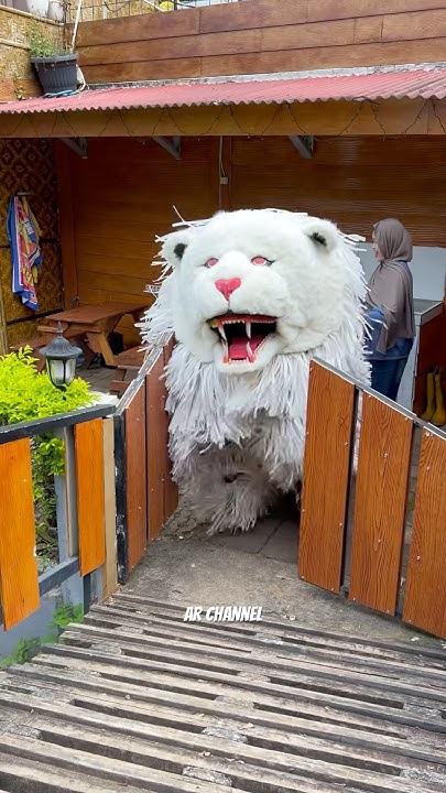 Ngeluarin can macanan dari kandangnya - YouTube