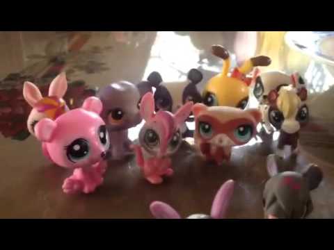 Lps the tortoise and the hare (Aesop) - YouTube