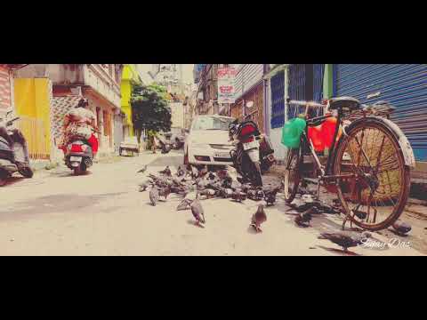 WhatsApp status ja pakhi ure ja na