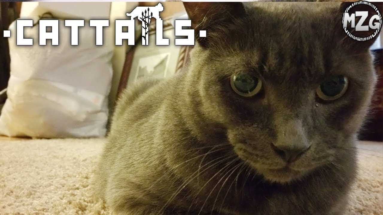 Attack of the Ghosts! - Cattails Gameplay - Episode 23 - YouTube