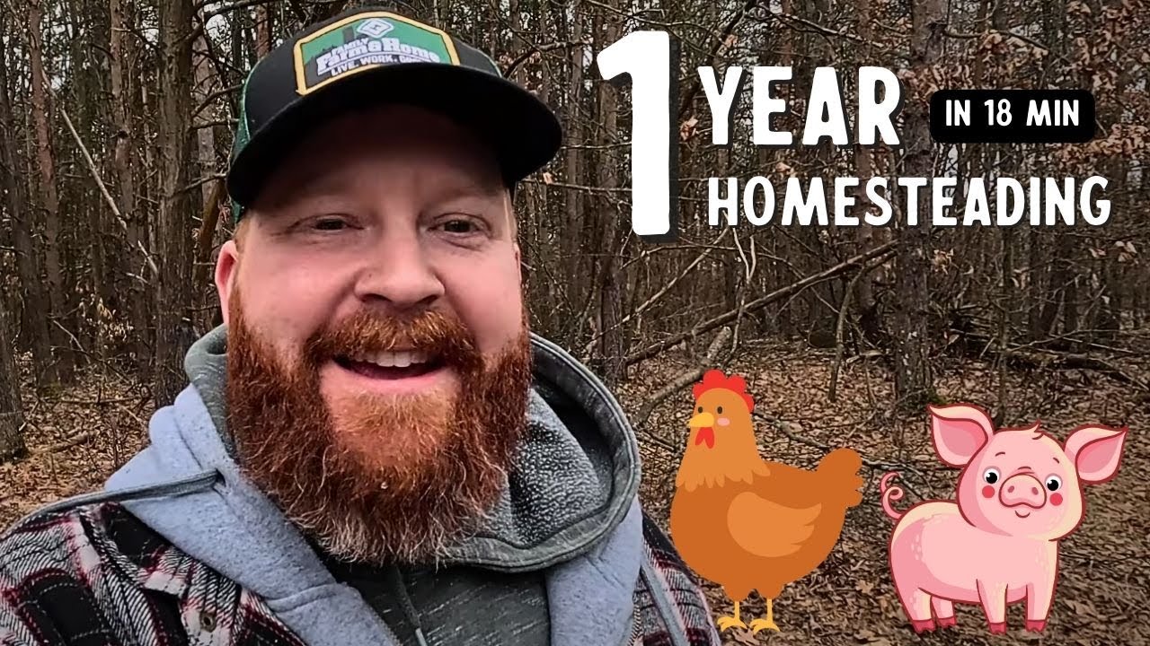 One Year of Homesteading On Our 10 Acre Homestead - YouTube
