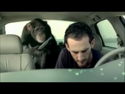 Suburban Trunk Monkey Ad Meme - YouTube