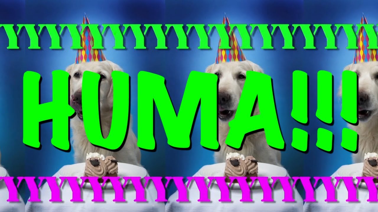 HAPPY BIRTHDAY HUMA! - EPIC Happy Birthday Song - YouTube