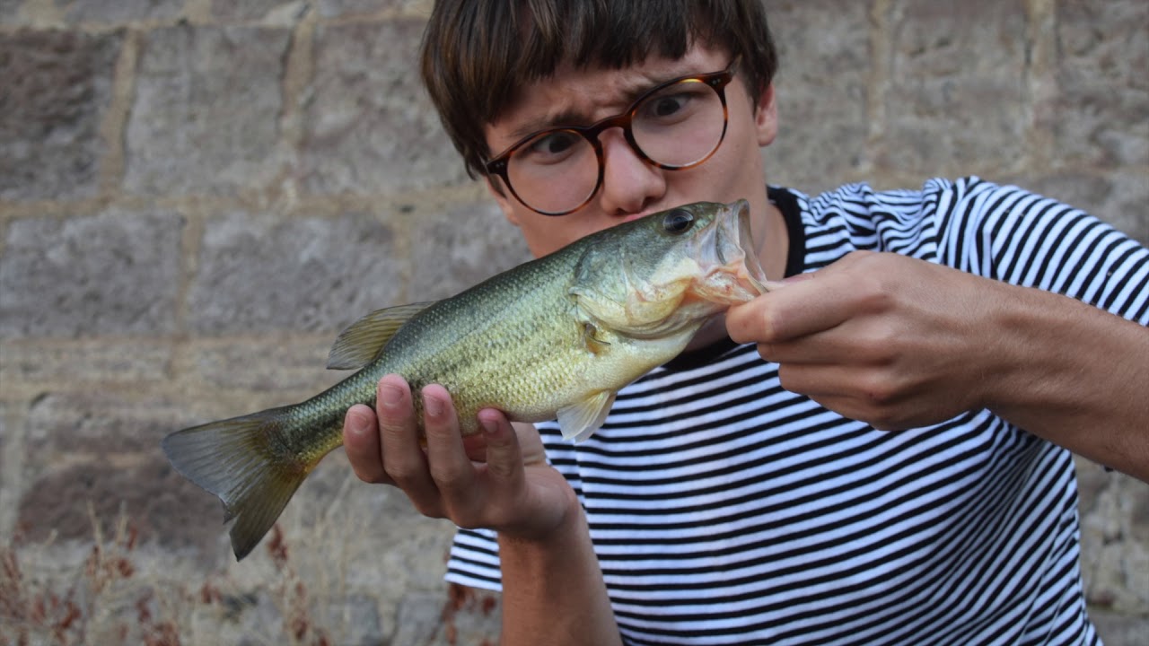 Gran Canaria Bass Fishing - YouTube