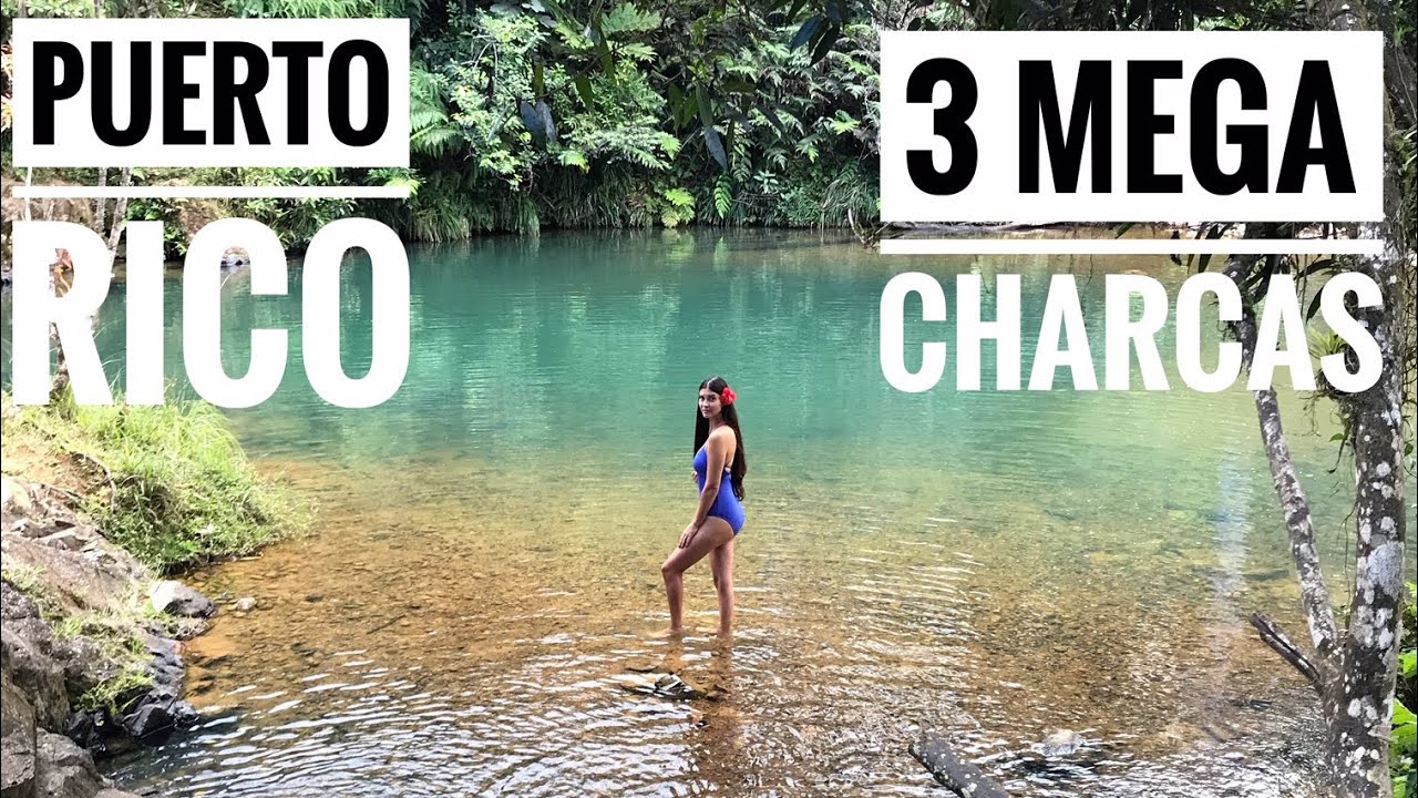 Puerto Rico 3 MEGA CHARCAS Patillas Charco Azul , Infinity y Survivor ...