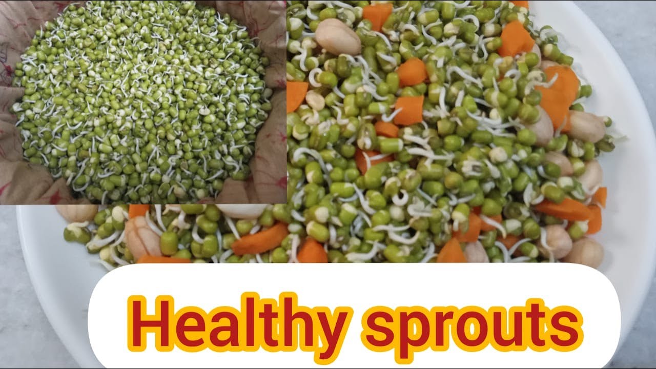 Mung Bean Sprouts - How to make sprouts easily at home - మొలకల తయారీ ...