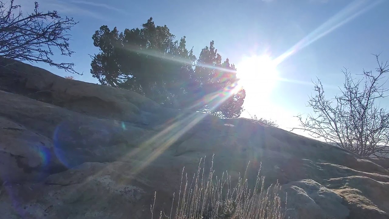 Foxpro TX1000 remote - YouTube