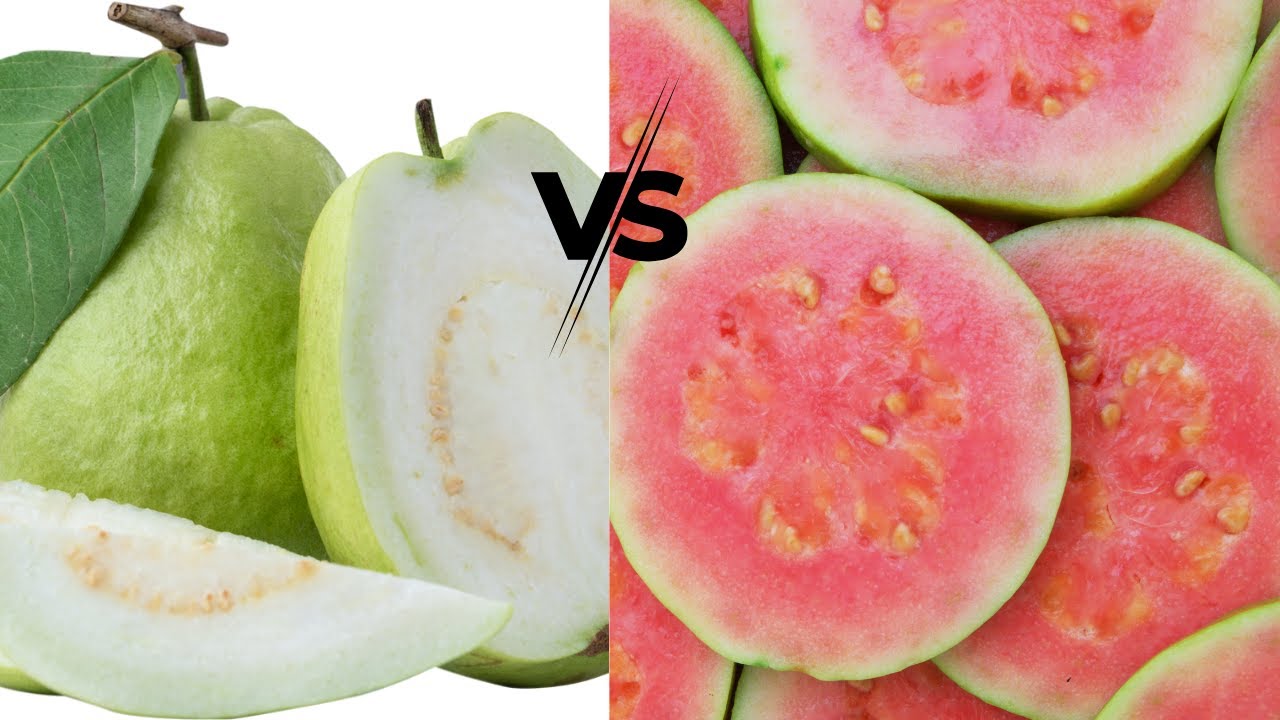 White Guava vs Red Guava Which One is the Healthier Choice? - YouTube