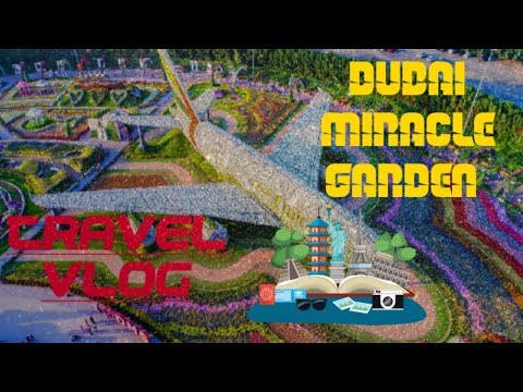 Dubai Miracle Garden VLOG| Travel VLOG | MIRACLE GARDEN 🌻🌲🌺🌷🌲🌹