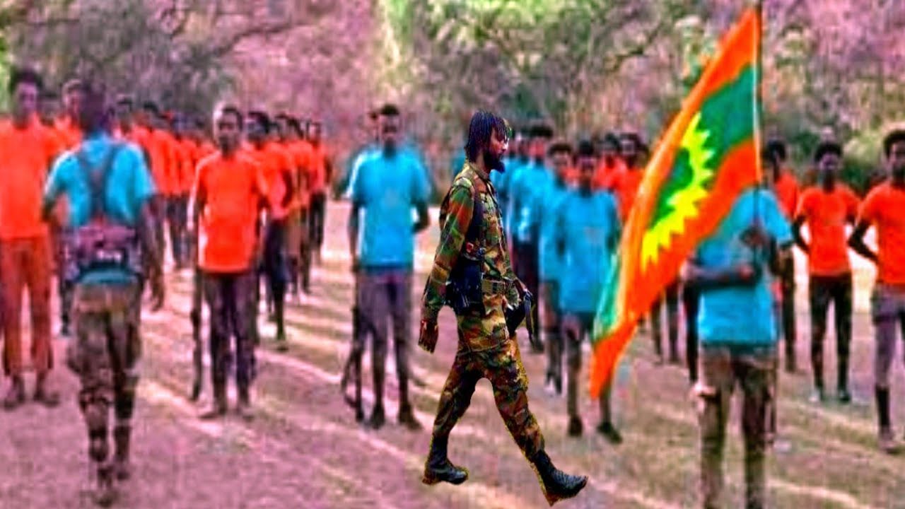 ODUU BBC AFAAN OROMOO,,November 4, 2021 - YouTube