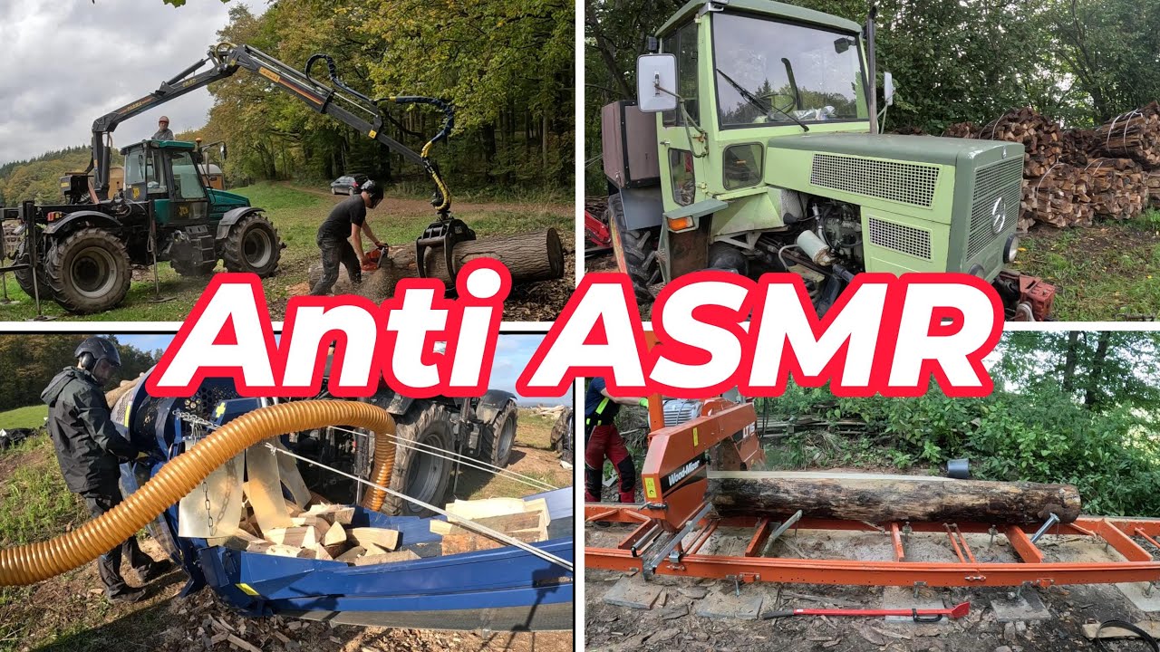 Anti-ASMR und epische Highlights 2024 – Reaktion auf eure Kommentare ...