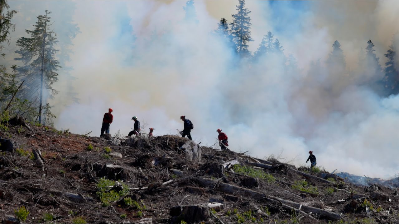 Owl Creek Cultural Burn Case Study - YouTube