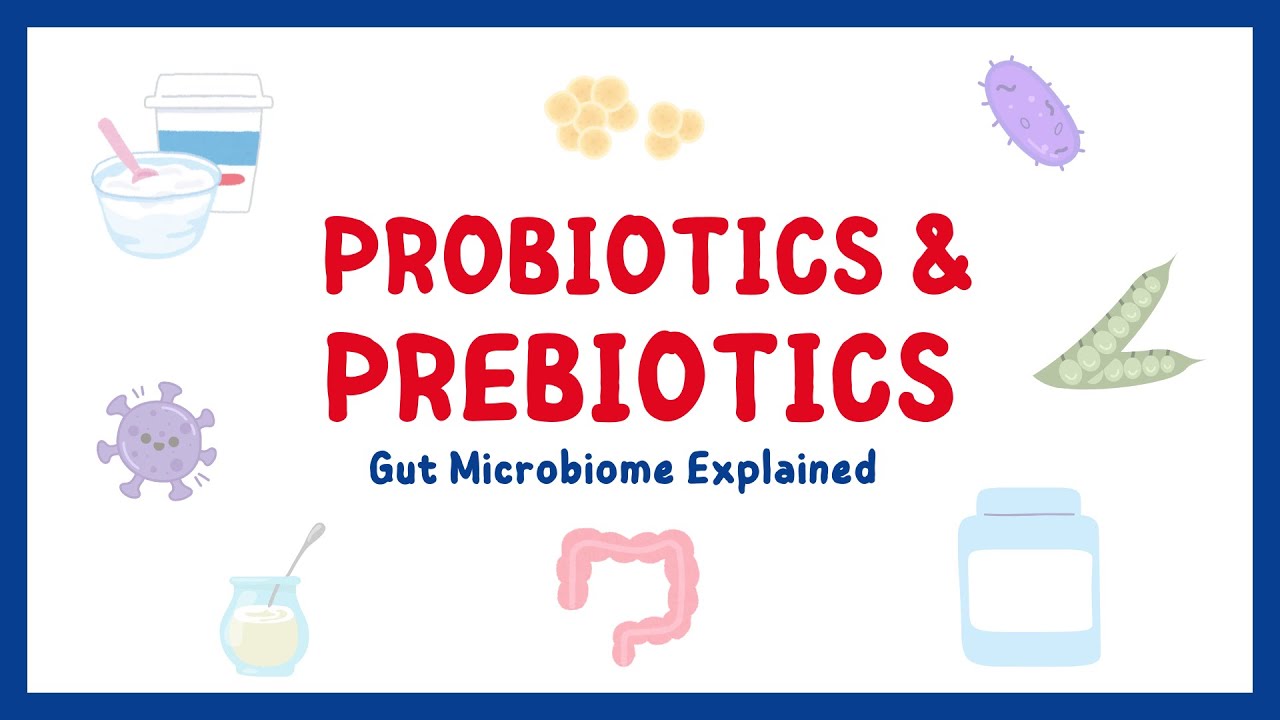 Prebiotics & Prebiotics: Gut microbiome explained - YouTube
