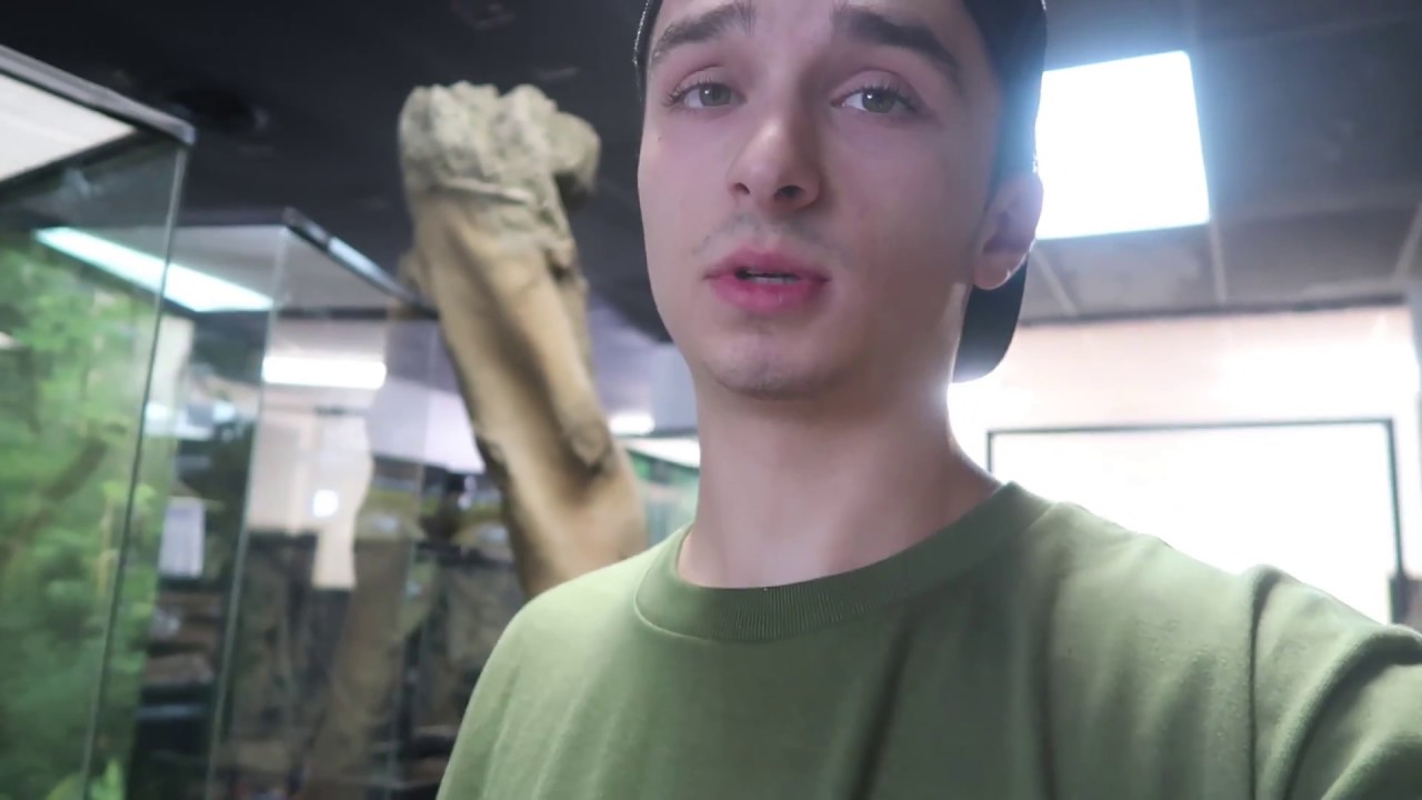 Putting the ZOO TOGETHER! Noah Barczyk - YouTube