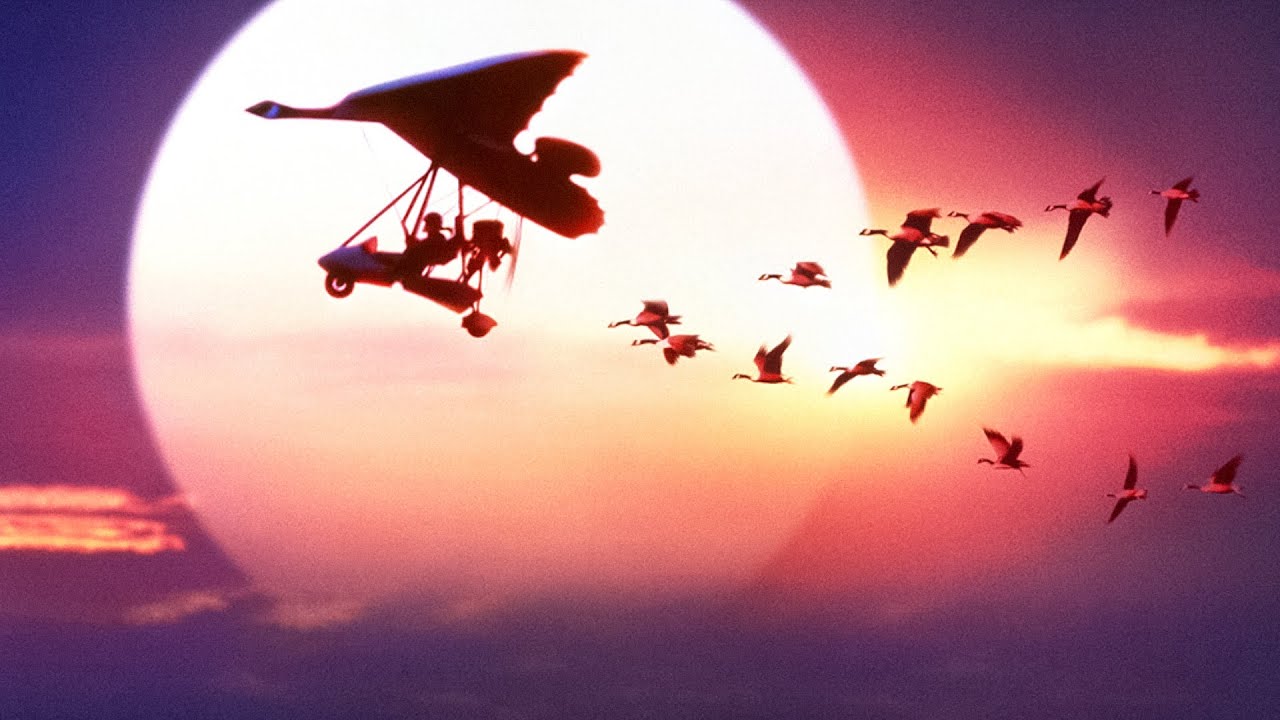 Fly Away Home - Trailer (Upscaled HD) (1996) - YouTube