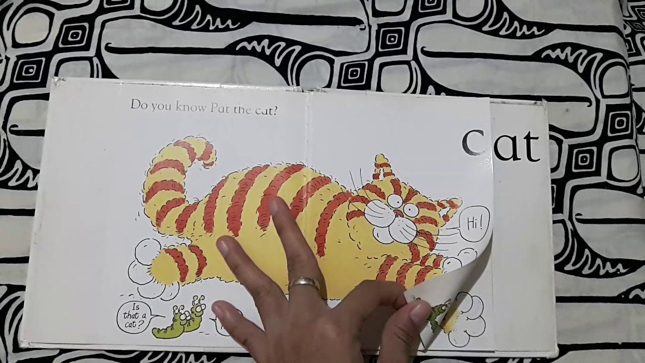 Pat the cat - a flip the page, rhyme and read book - colin and jacqui ...