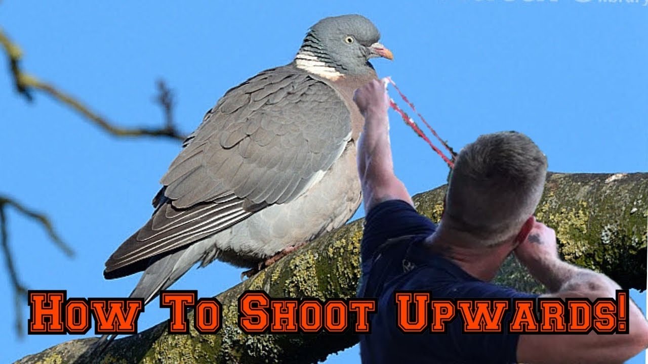 How To Shoot Upwards With A Catapult / Slingshot - YouTube