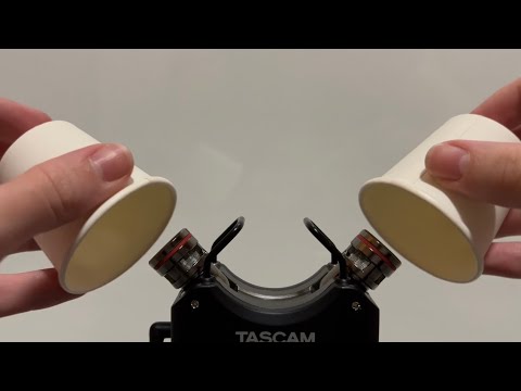 ASMR Mini Paper Cup Tapping (Tascam) - YouTube