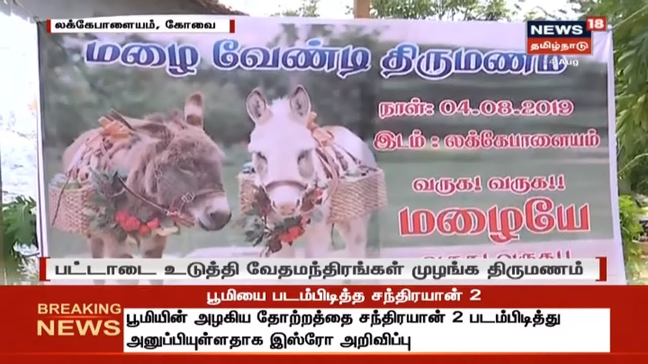 Donkey Marriage: மழை வேண்டி கழுதைகளுக்கு கல்யாணம் - பட்டாடை உடுத்தி ...