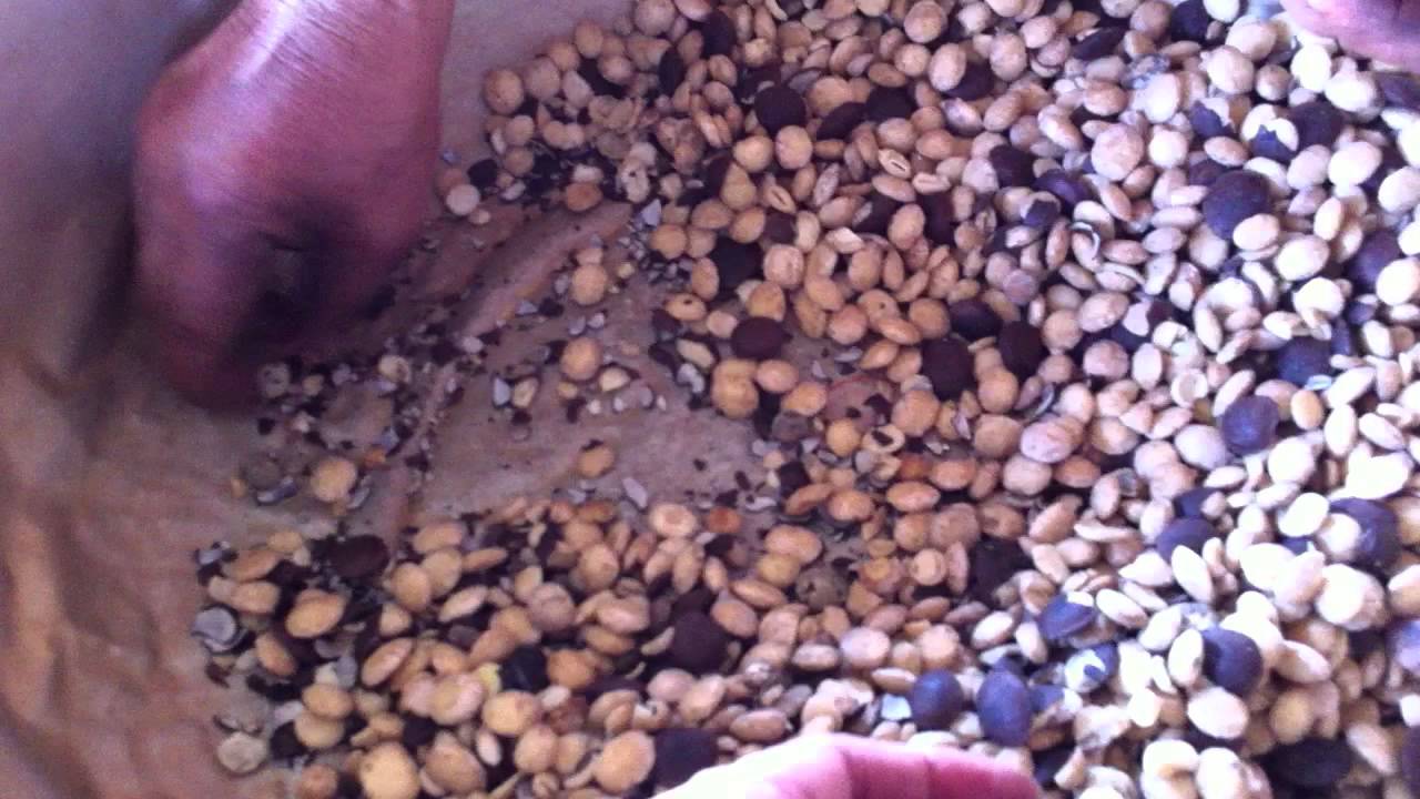 Img 6537 Youtube