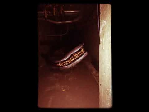 basement wolf sounds - YouTube
