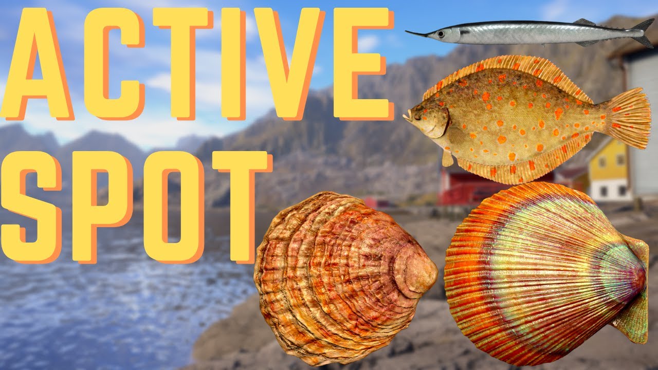 Cool Spot for Scallop, Oyster, Plaice, Turbot, Haddock | Active Spot ...