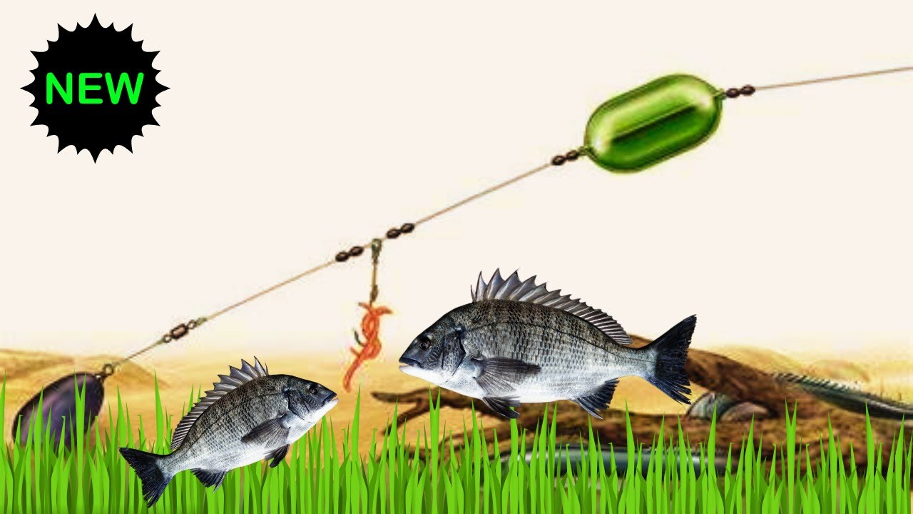 Effective Bottom Fishing Rig | FISHING RIG TO CATCH MORE FISH - YouTube