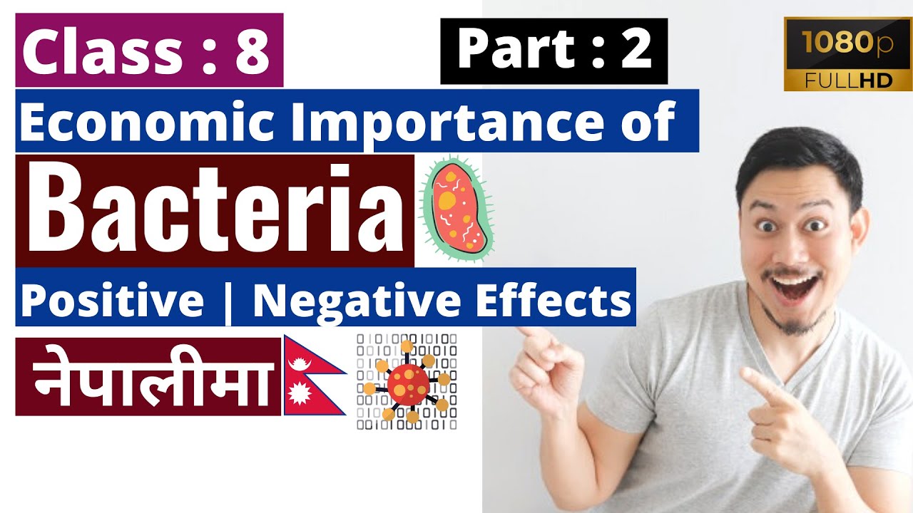 Economic Importance of Bacteria || Positive & Negative effects of ...