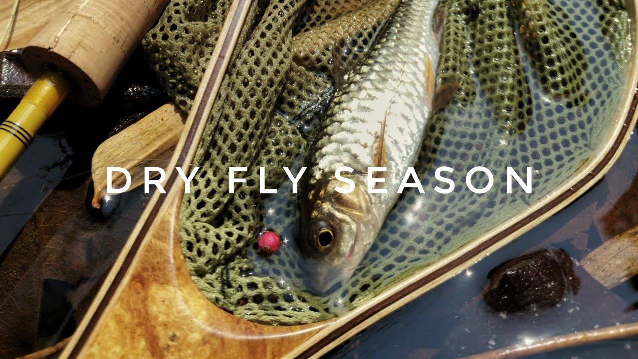 Dry Fly Season (fly fishing menggunakan flies buah) | Indonesia Fly ...