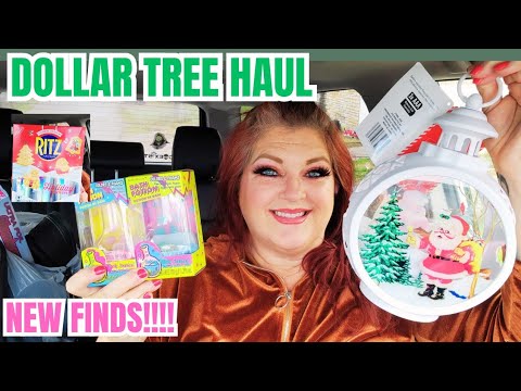 NEW DOLLAR TREE HAUL | November 14, 2025 - YouTube