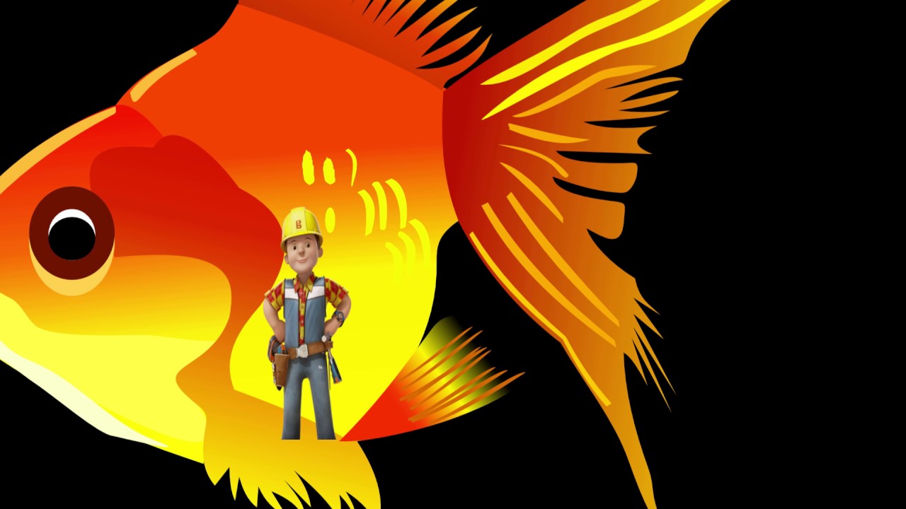 HI IM BOB (THE GOLDFISH) - YouTube