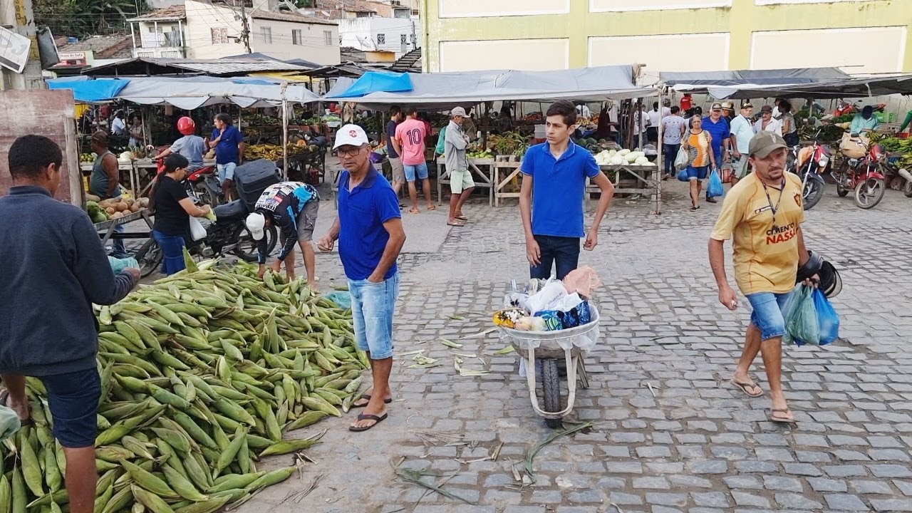 NA FEIRA DE BEZERROS-PE. É SÓ FARTURA, CUSTO DE VIDA BAIXO. ISTO É ...