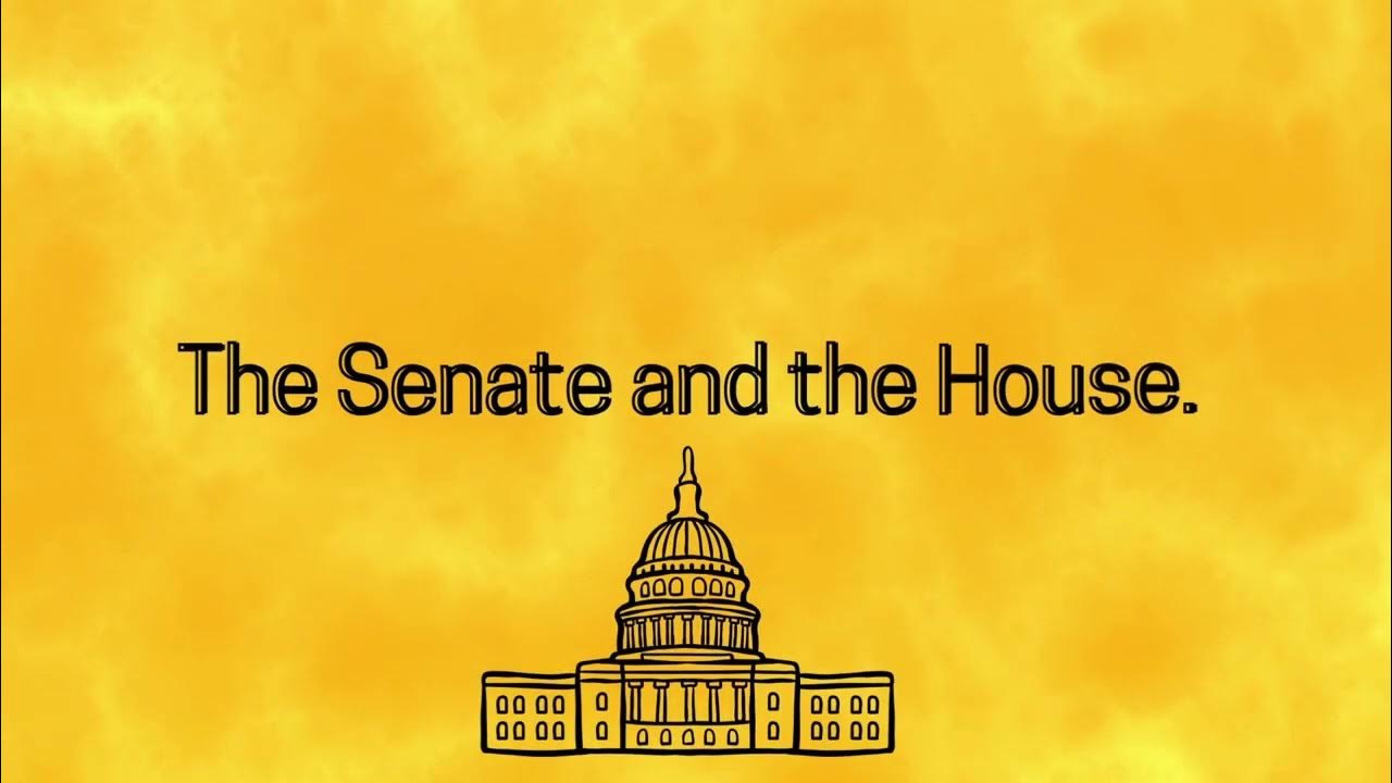 Three Branches of Government Song - YouTube