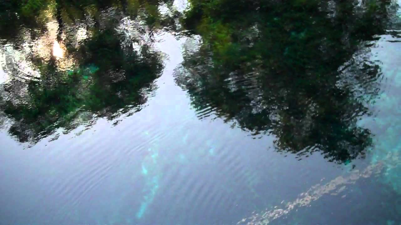 Blue Spring of Gilchrist County - YouTube