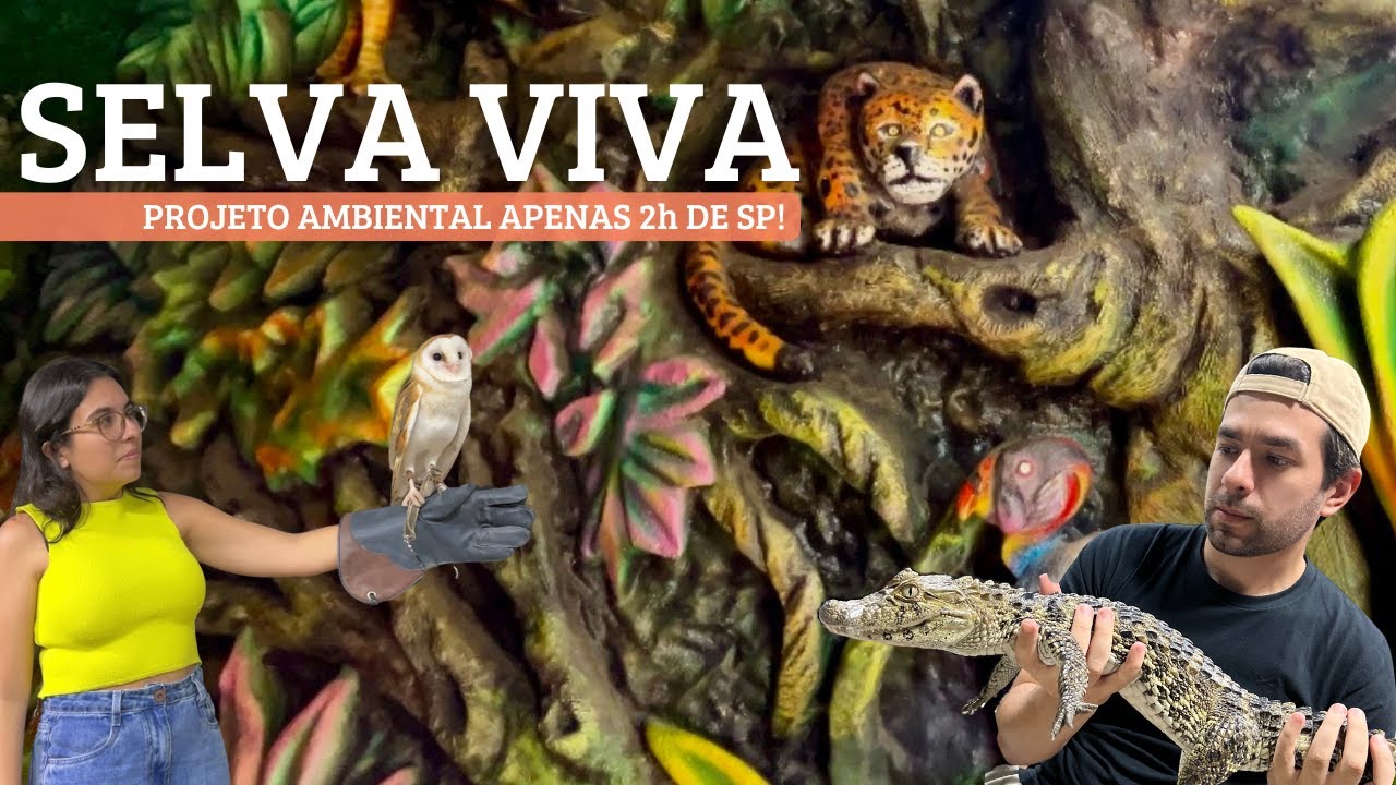 PROJETO SELVA VIVA | TAUBATÉ SP | Apenas 2 horas de SÃO PAULO, com ...