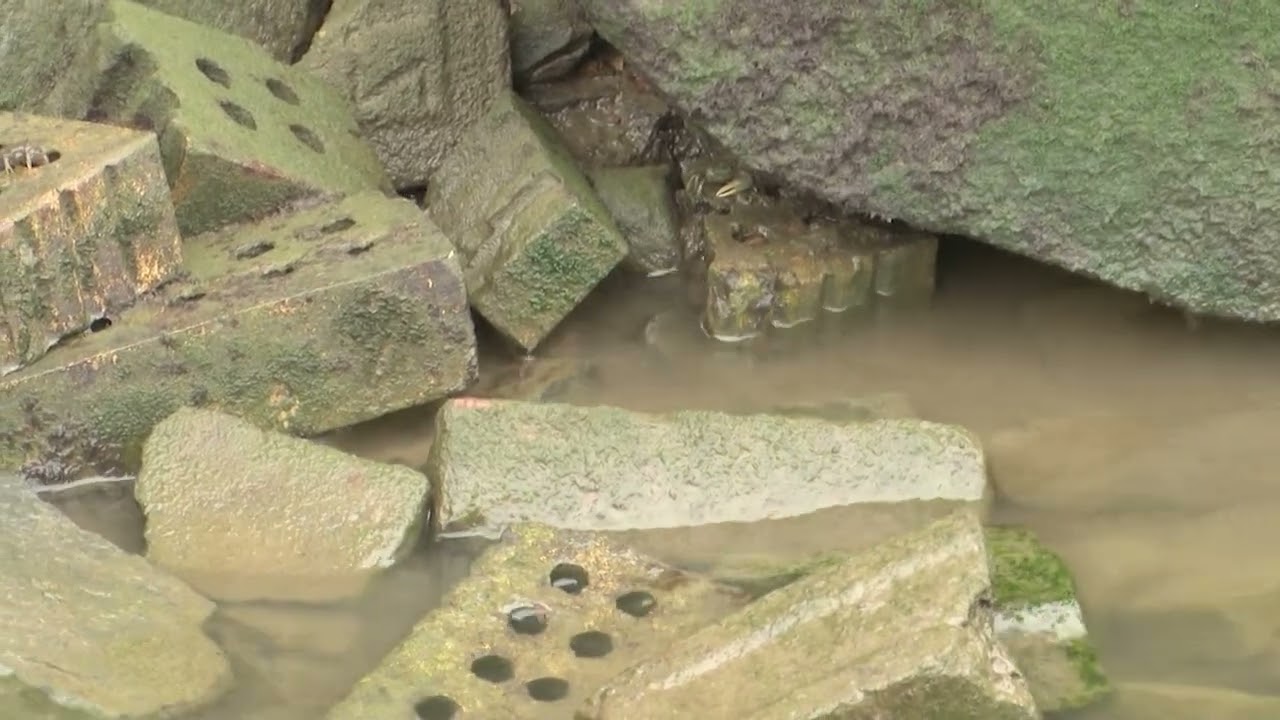 EPA adds Lower Hackensack River to list of Superfund cleanup sites ...