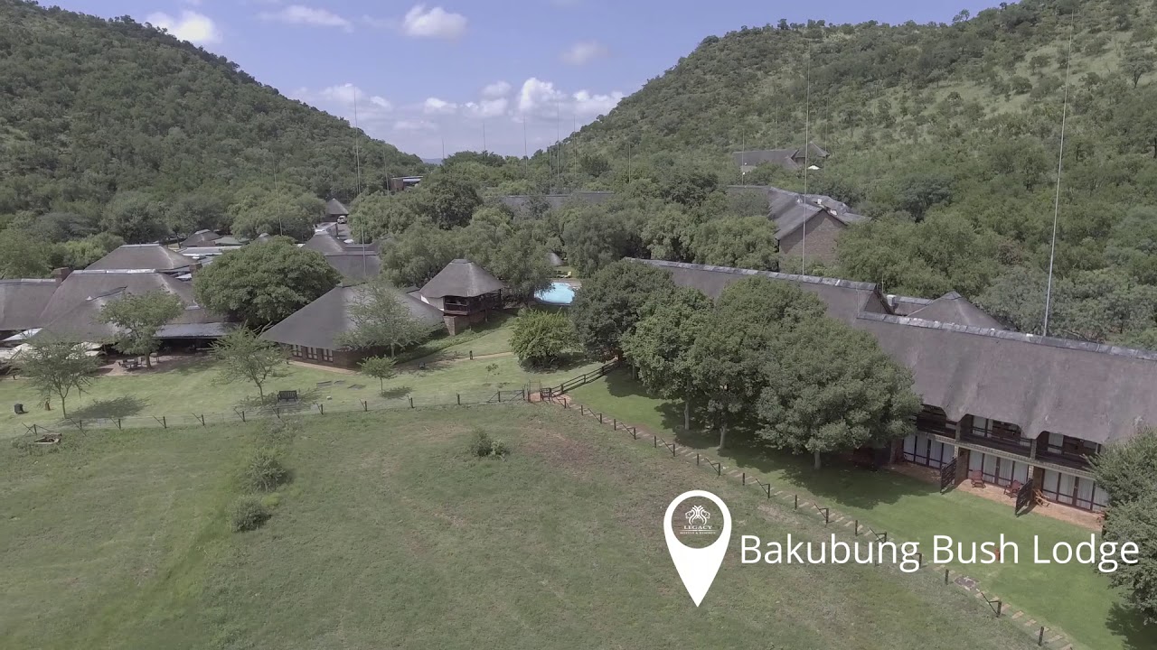 Bush Lodges - YouTube