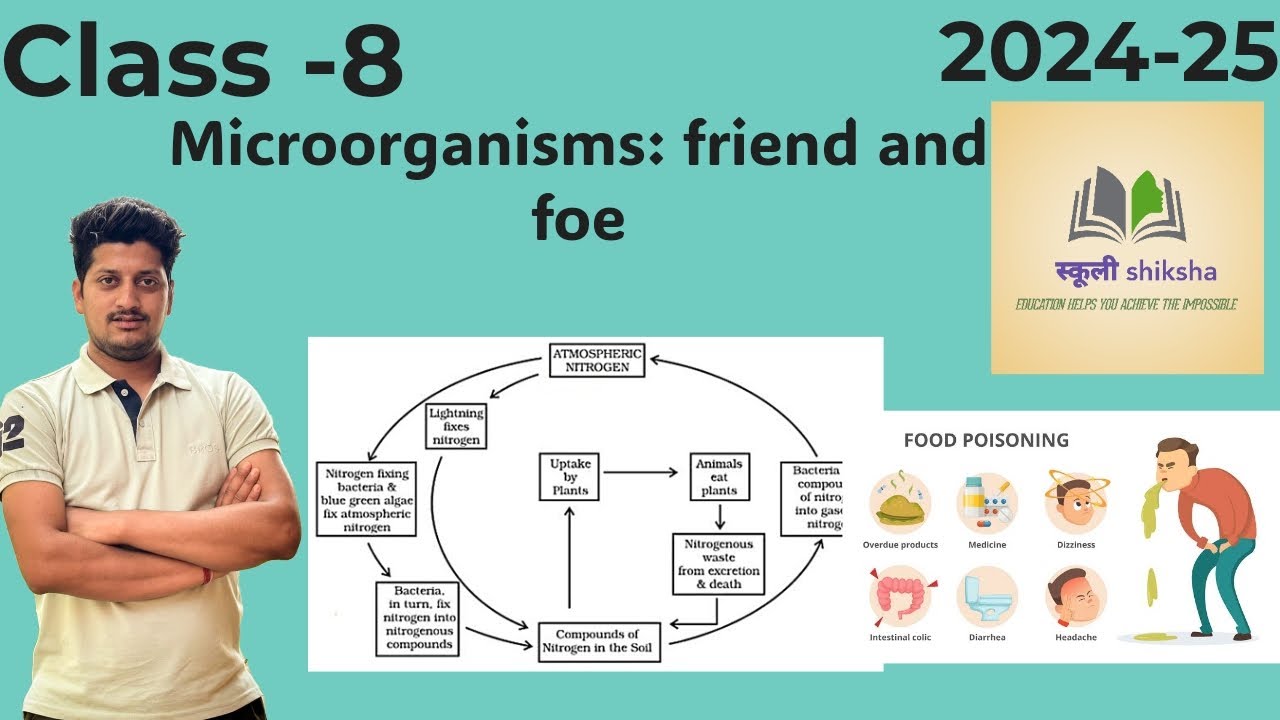 class 8 science chapter -2 // microorganisms : friend and foe - YouTube