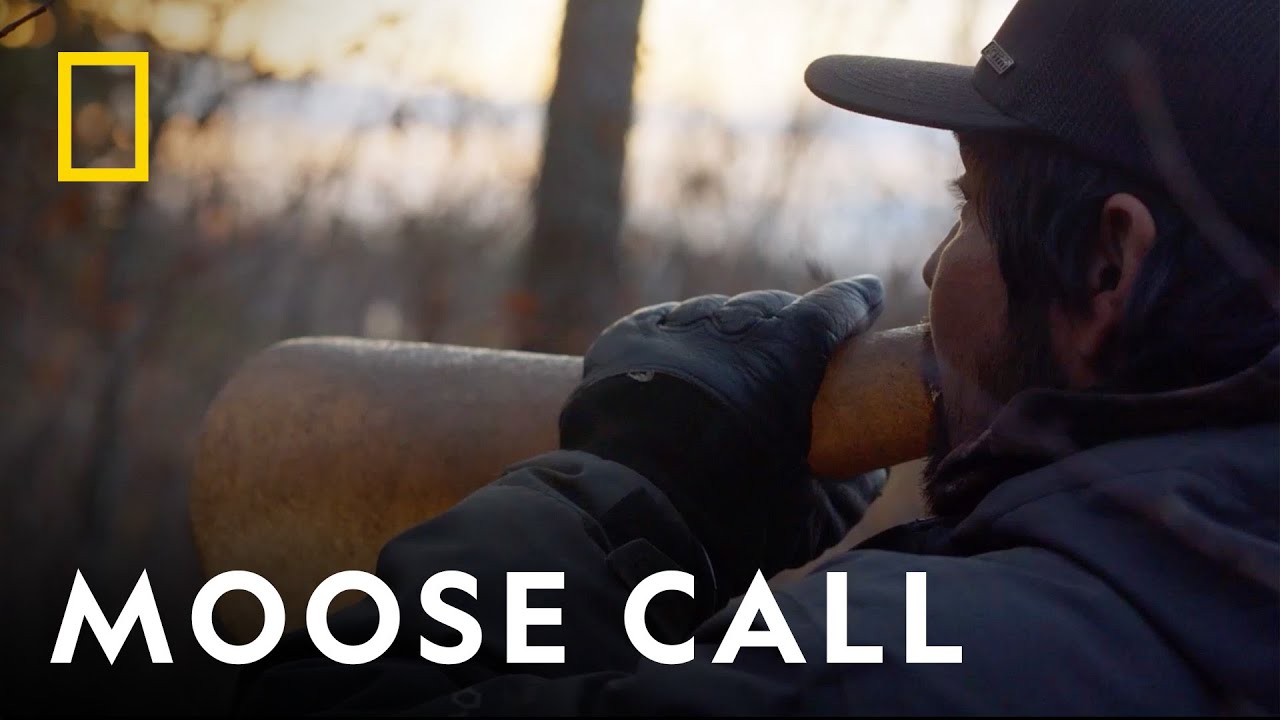 Will It Be a Successful Moose Hunt? | Life Below Zero: First Alaskans ...