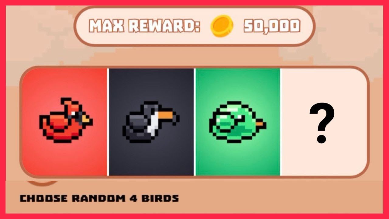 Bird Daily Combo Today 1 January | Bird Combo Today | Daily Combo Bird ...