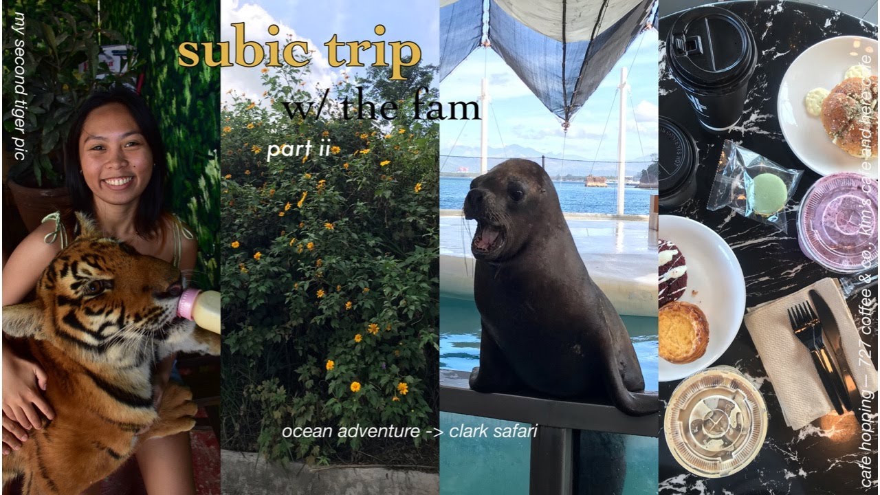 HUGGING A TIGER || subic trip w/ the fam part ii. - YouTube