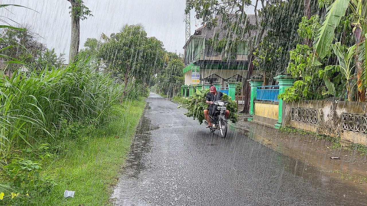 Heavy Rain in My Village, very beautiful, Eliminate Insomnia and Fall ...